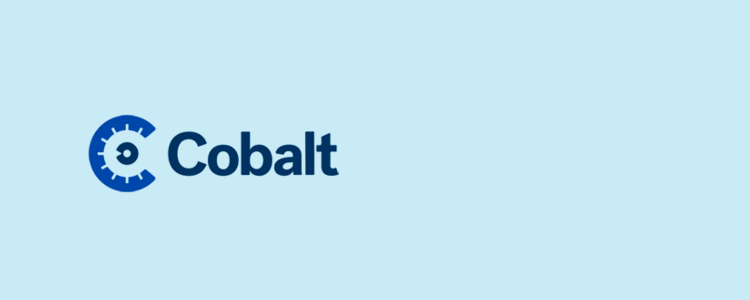 5 Cobalt Alternatives to Consider in 2025